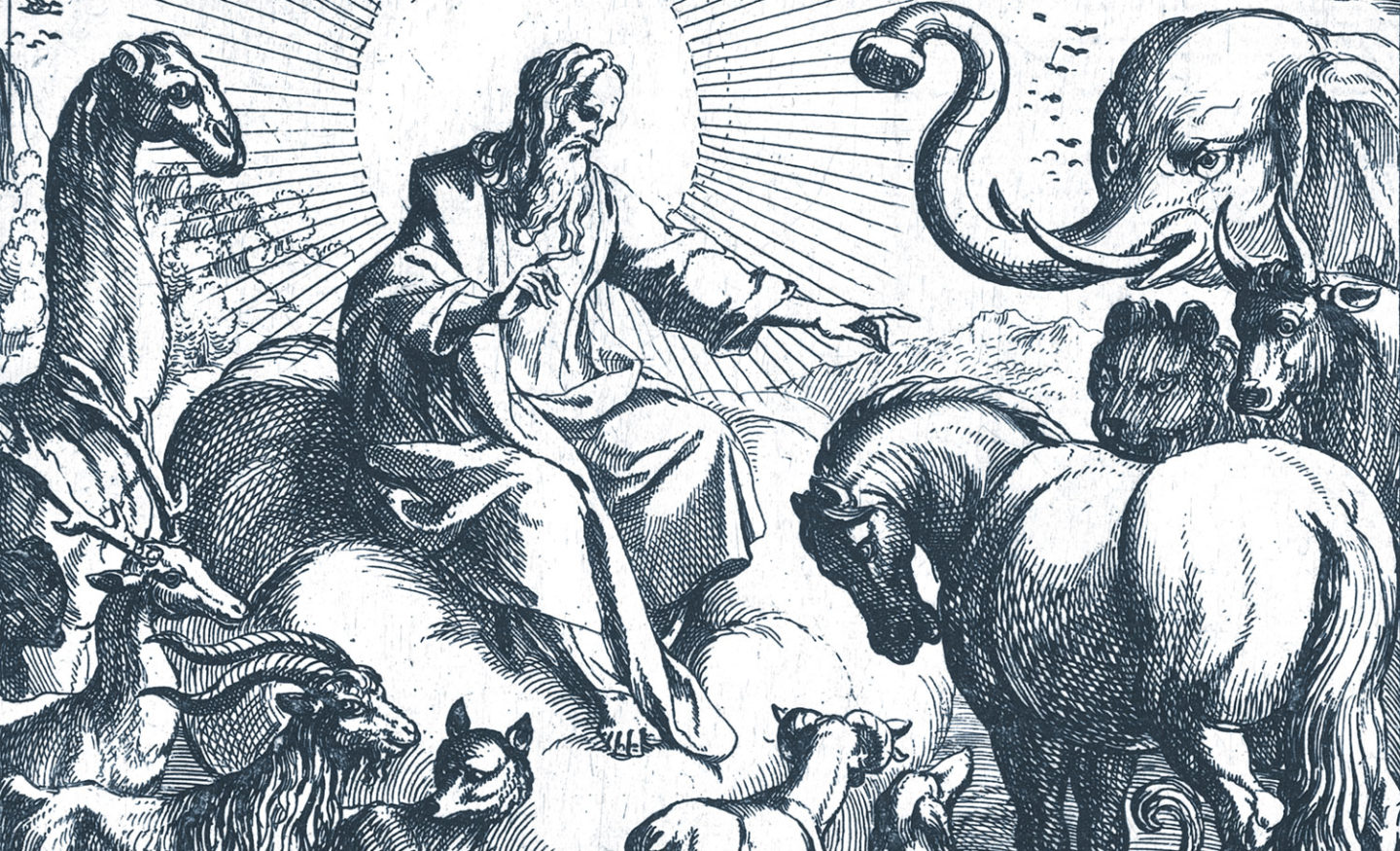 La triste y científicamente probada istoria de cómo dios creó al mundo ...
